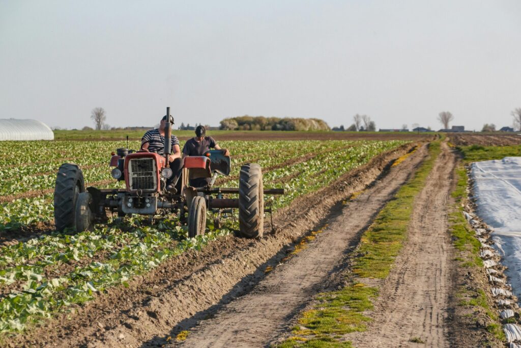 SAP PM, su implementación exitosa en agrícola multinacional